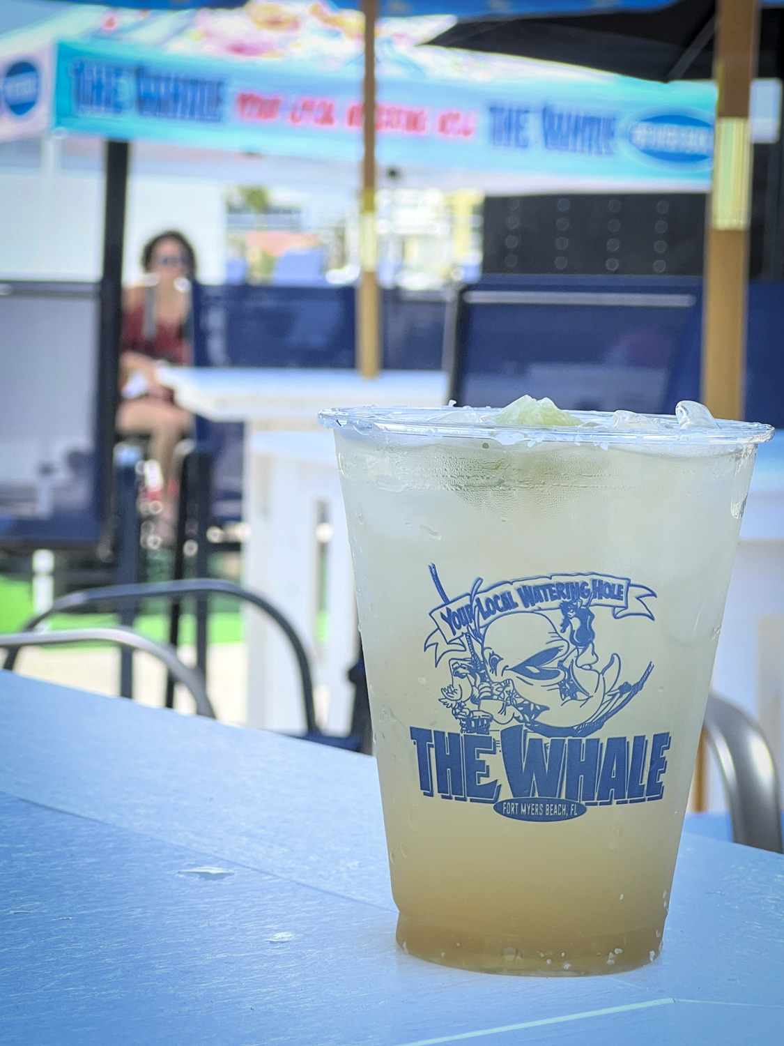 Sandy Bottom Boat Tours - Private Charter Boats in SWFL