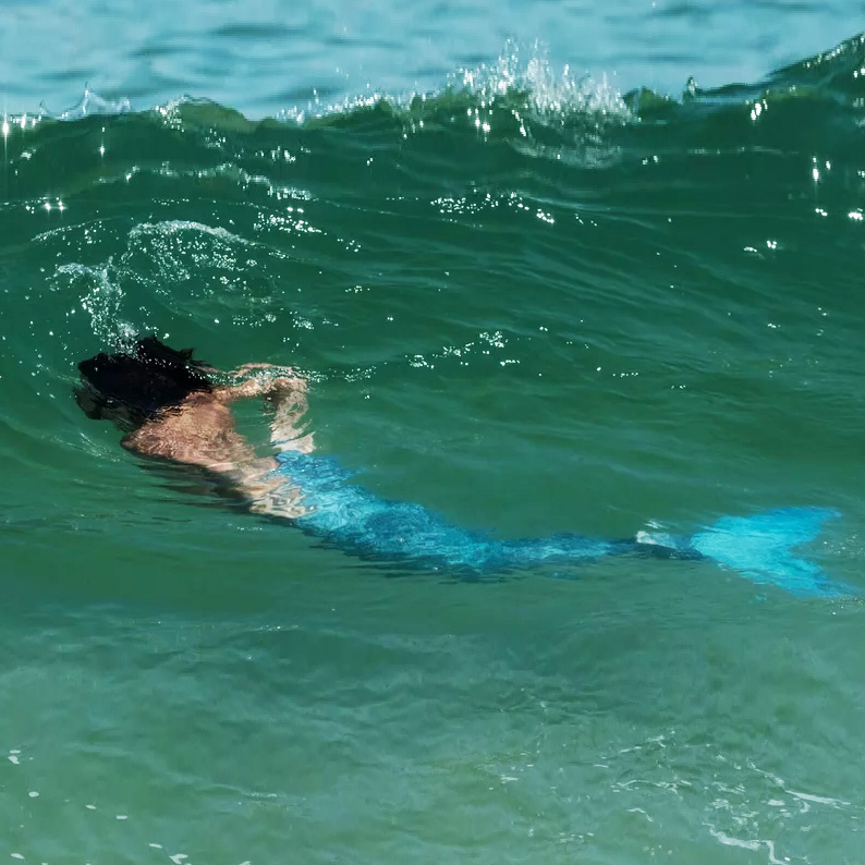 Boat Tours - Sandy Bottom Boat Tours