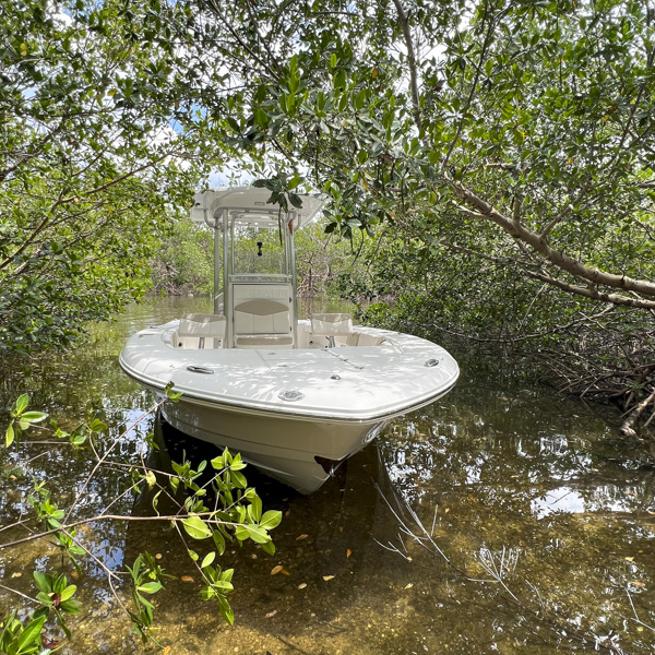 Boat Tours - Sandy Bottom Boat Tours